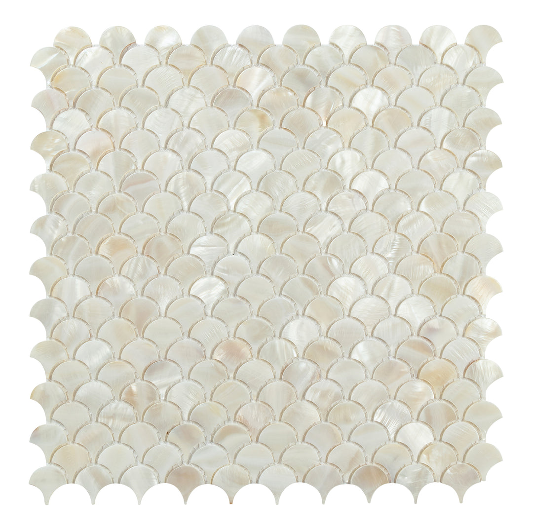Seashell Mosaics
